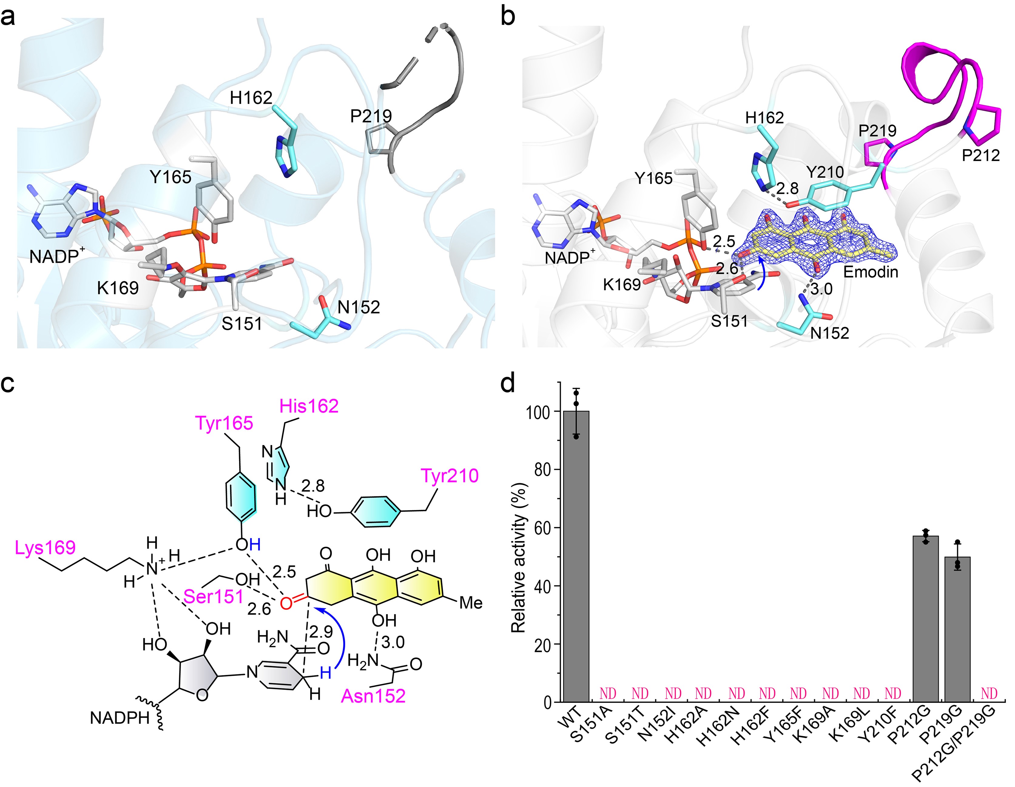 饶义剑教授团队在Nature Communications发表基于蒽酚还原酶的催化机制解析与结构改造实现了单一手性复杂羟基环酮和β-卤代醇的 ...