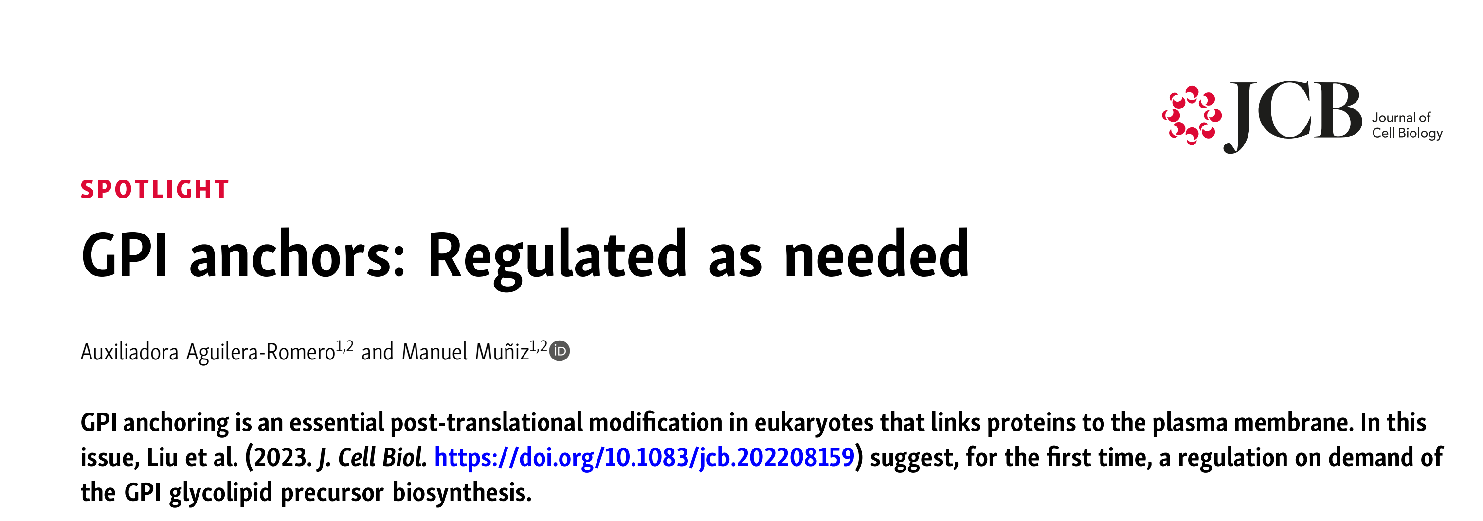 西班牙塞维利亚大学Manuel Muñiz教授在Journal of cell biology上撰文专题报道我院教师柳艺石关于GPI锚定蛋白研究的工作-生物工程学院-江南大学生物工程学院
